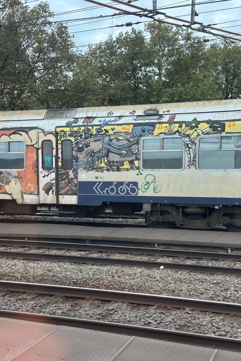 The train issue - To the Taj Mahal by Rail